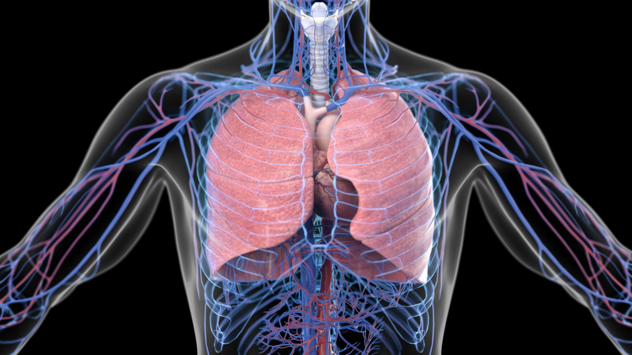 Lung Ultrasound in Outpatients with Heart Failure - ABC Imaging